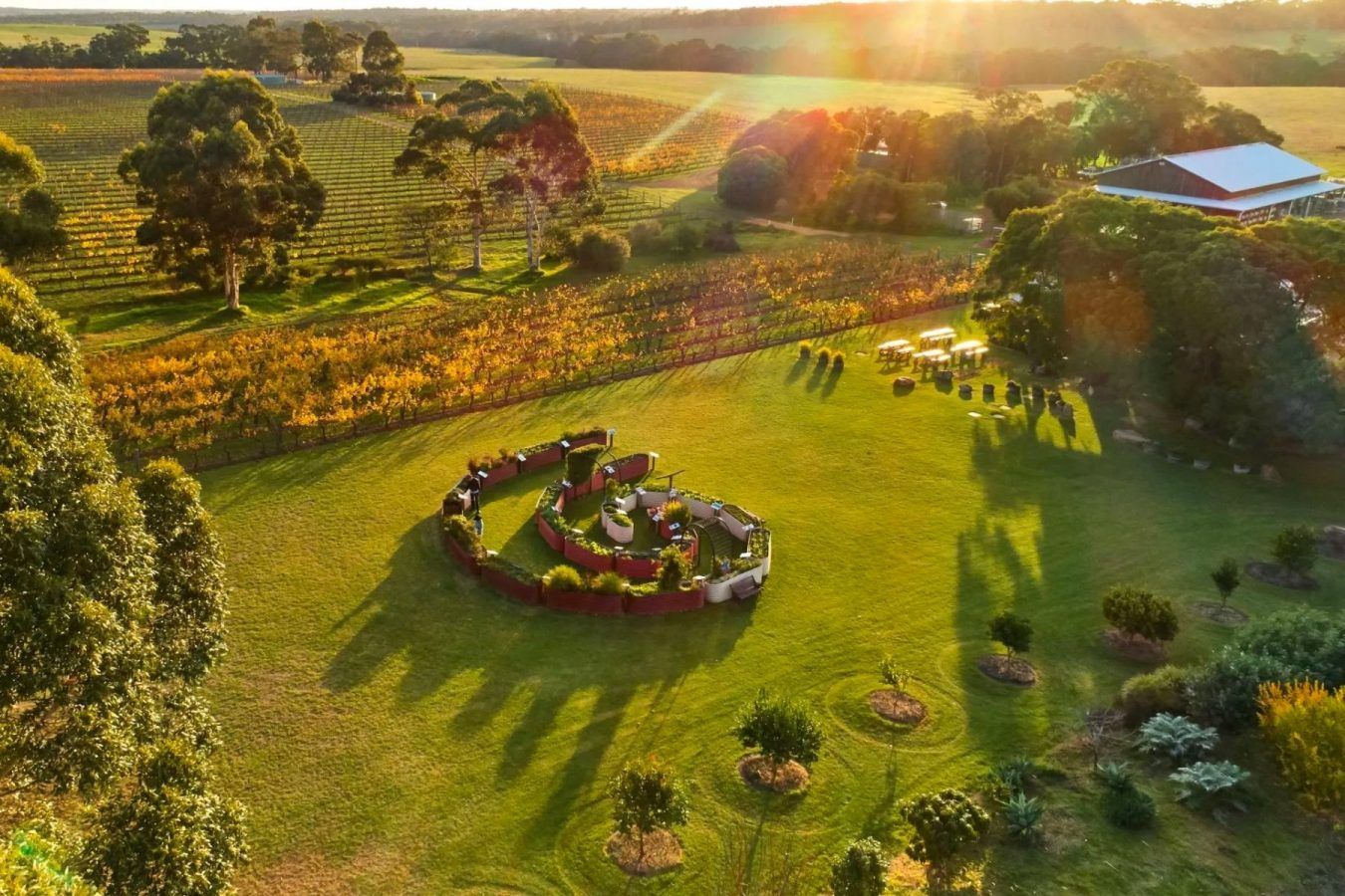 Some of Australia’s Best Wine Is Surfing the Organic Wave