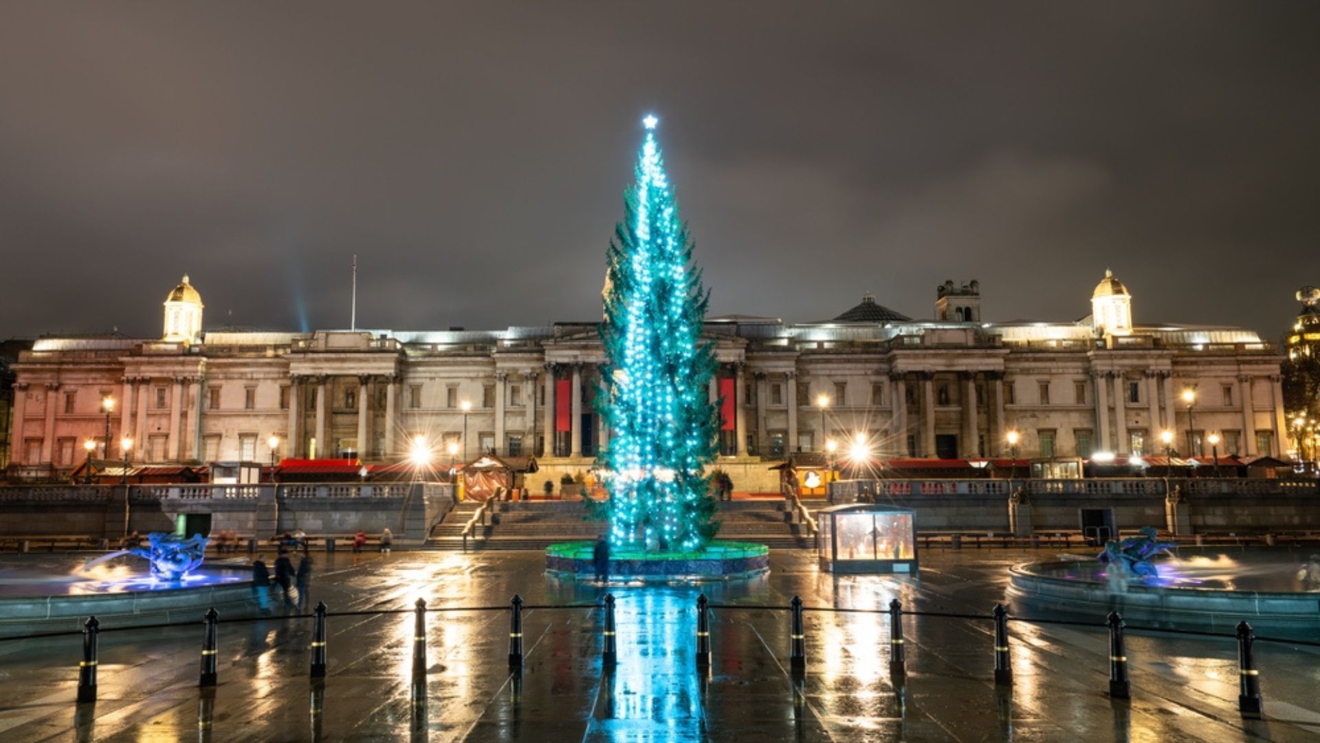 7 Most Stunning & Beautiful Christmas Tree In The World 2023 (Check Photos)
