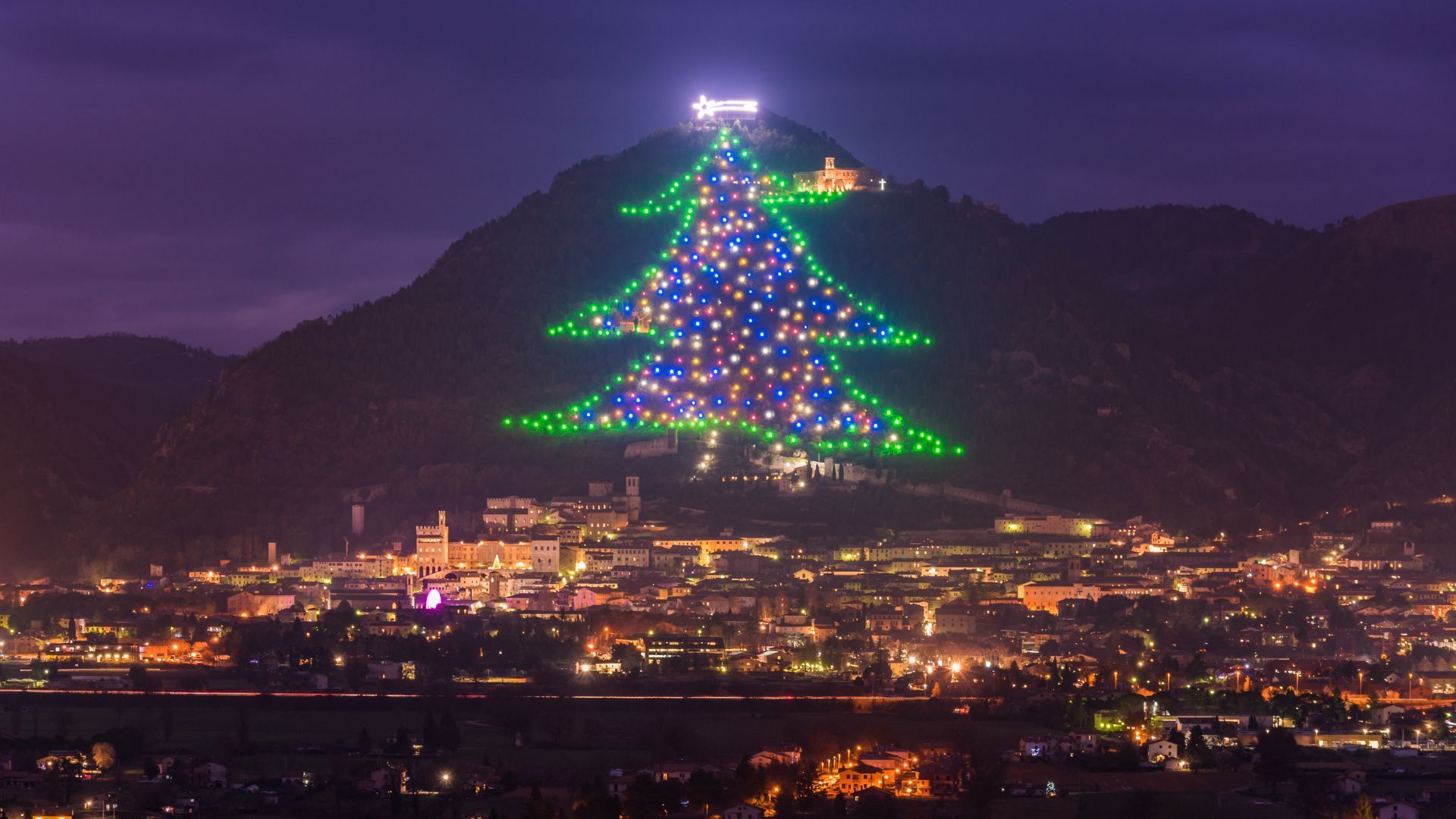 7 Most Stunning & Beautiful Christmas Tree In The World 2023 (Check Photos)
