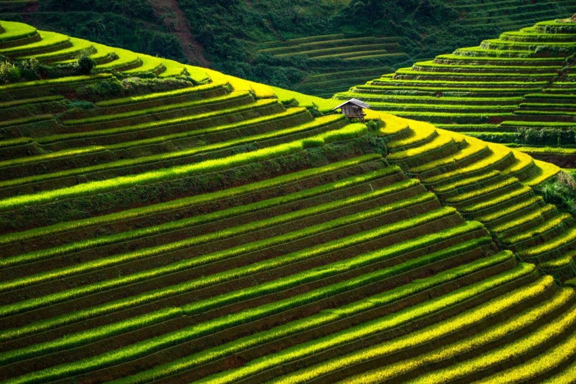 The Most Trending, Beautiful and Virally Posted Places in the Philippines