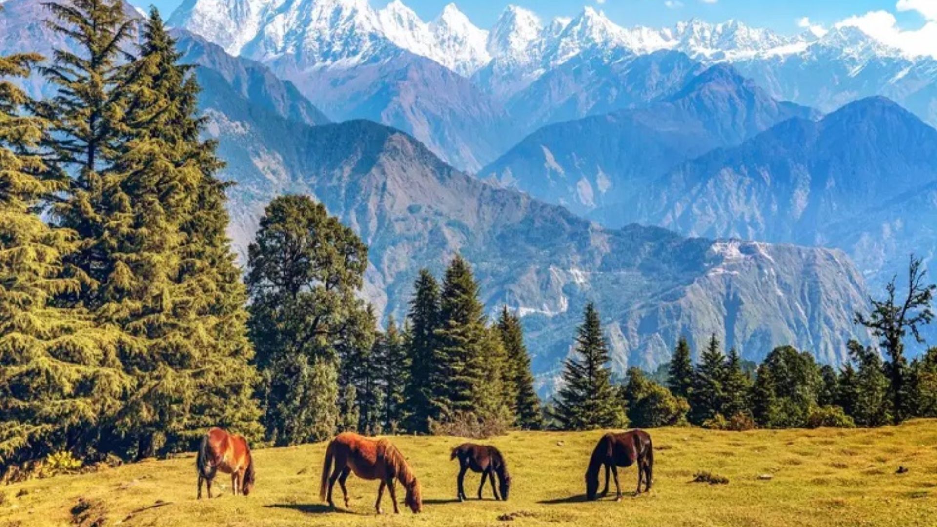 Most Beautiful Places In India (Scenic Natural & Cultural Heritage) 2024