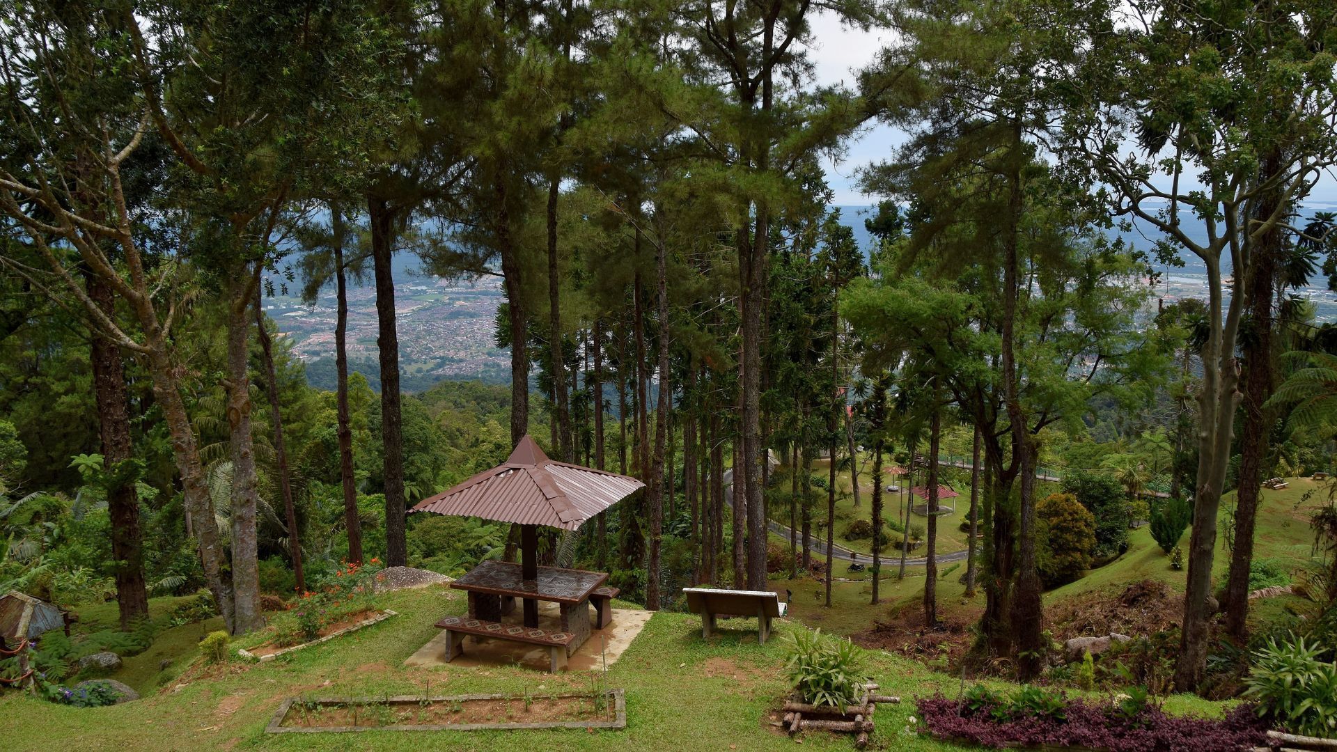 Hill Stations In Malaysia: Find Serenity Amid The Clouds