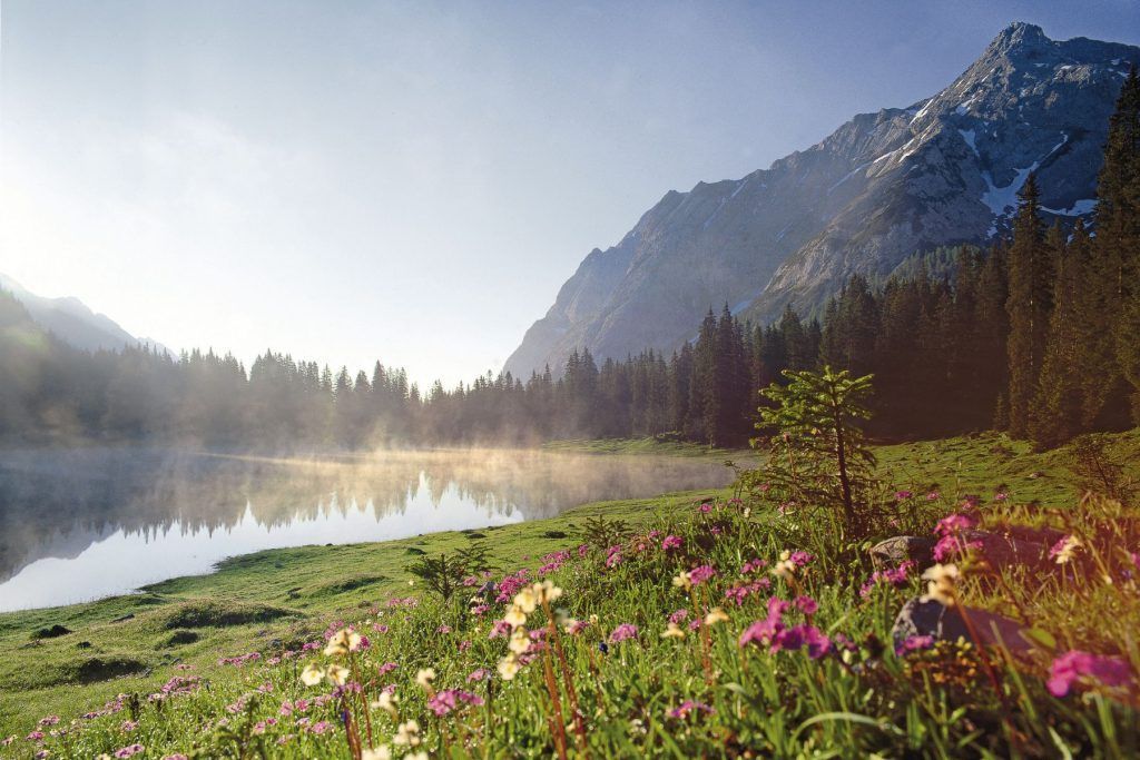 This Super Sustainable Austrian Region Is Fresh, Green and Sunnyside Up