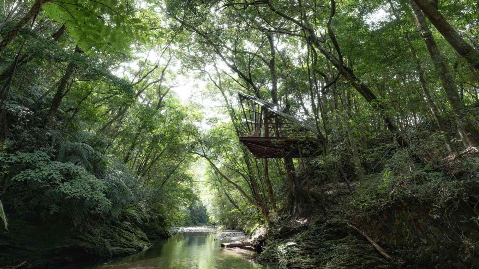 Treeful, A Tree House Resort In Japan Has 360-Degree Jungle Views