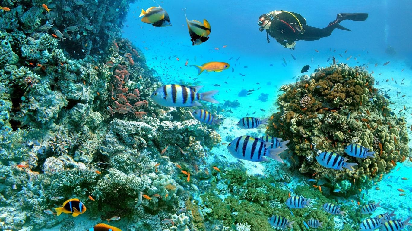 Best Time To Visit Egypt For Weather, Beaches, Shopping, & Avoid Crowd 2024