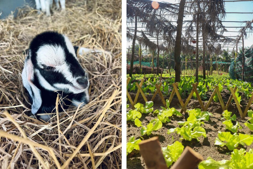 These Are the Best Hotels and Resorts for Families in Vietnam in 2024