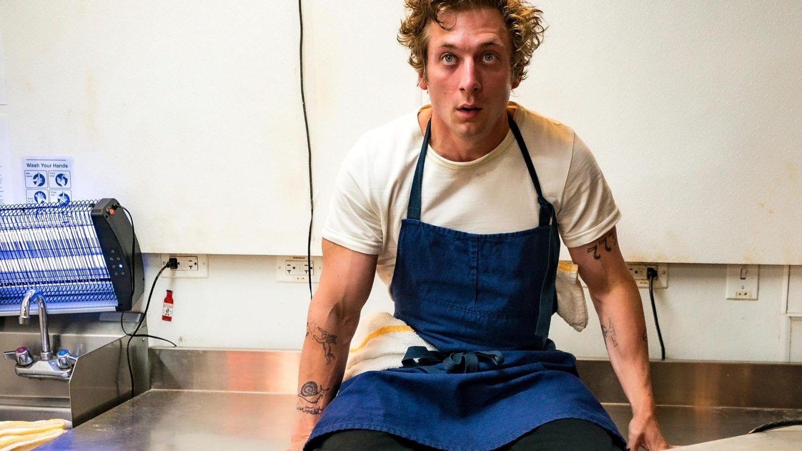 'The Bear Season 3' 2024 Filming Locations: A Culinary Voyage In Chicago