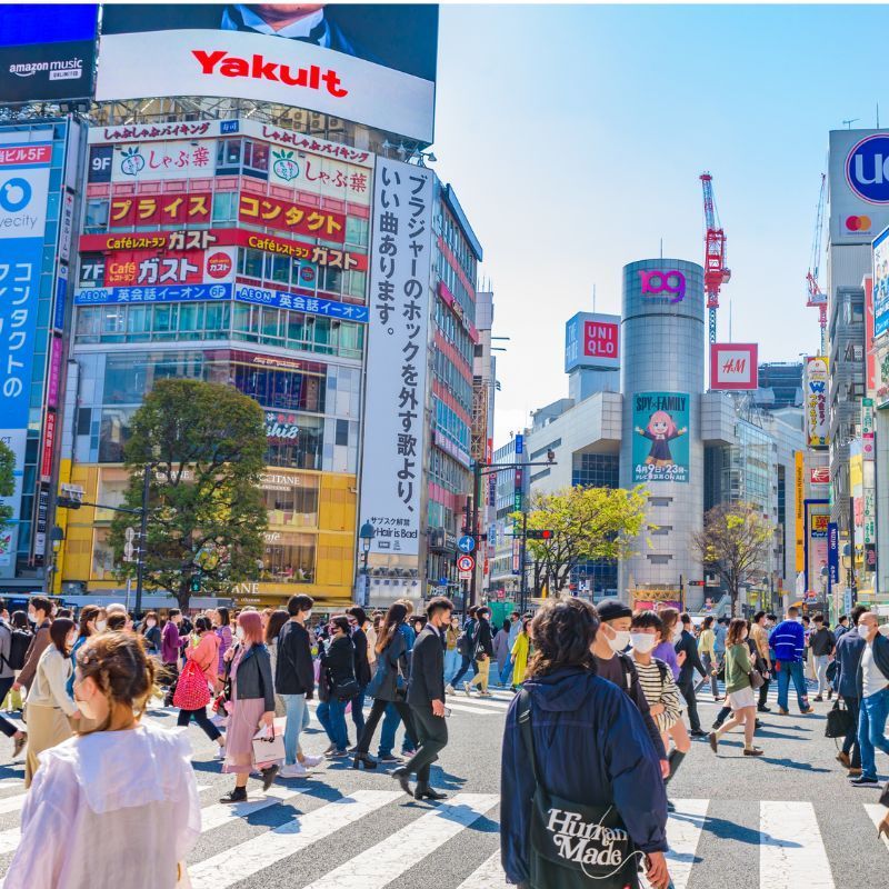 Tokyo Itinerary: Your 10-Day Guide To Exploring The City Like a Local