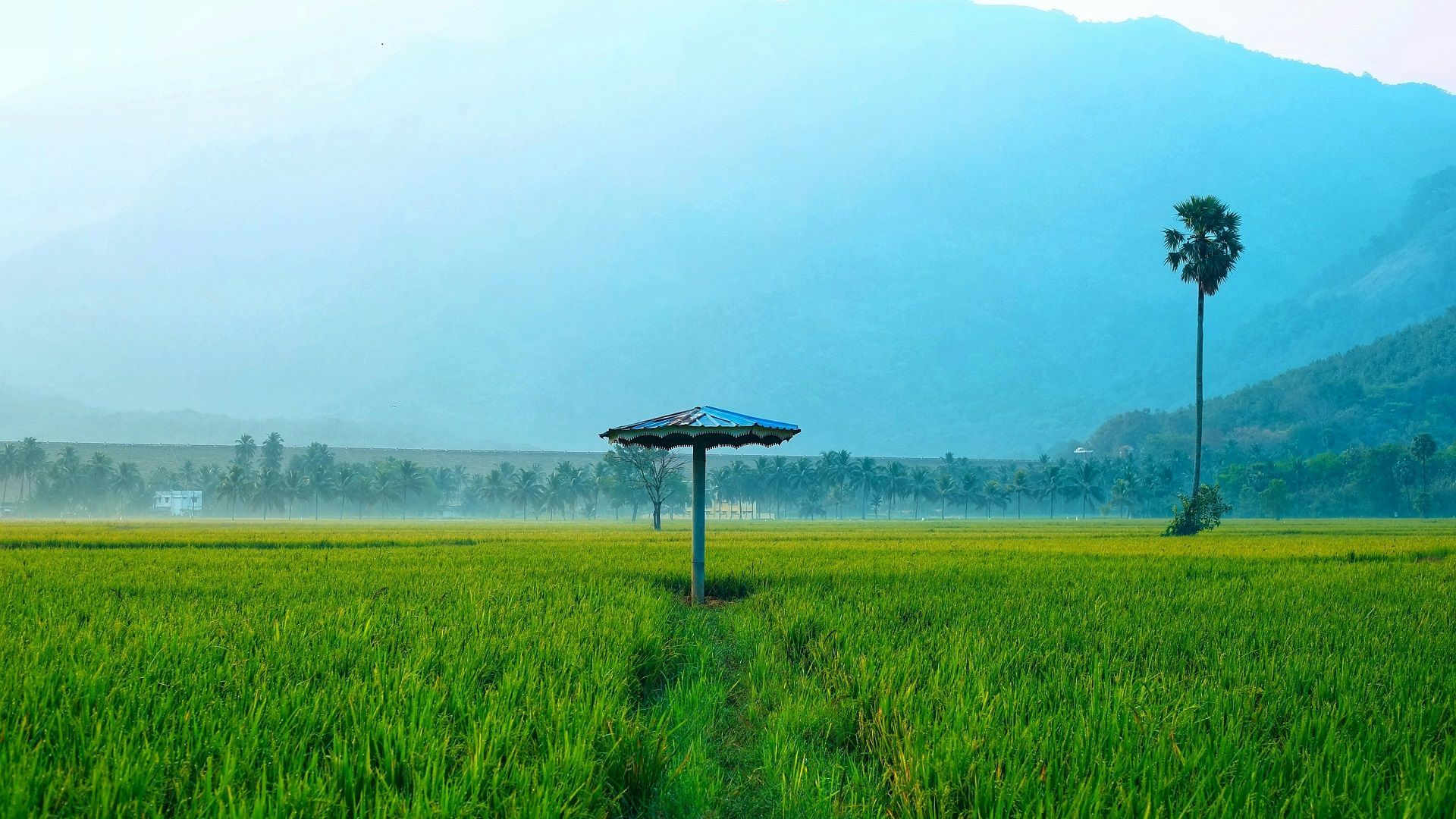 Best Places To Visit In India In July For A Monsoon Adventure 2024