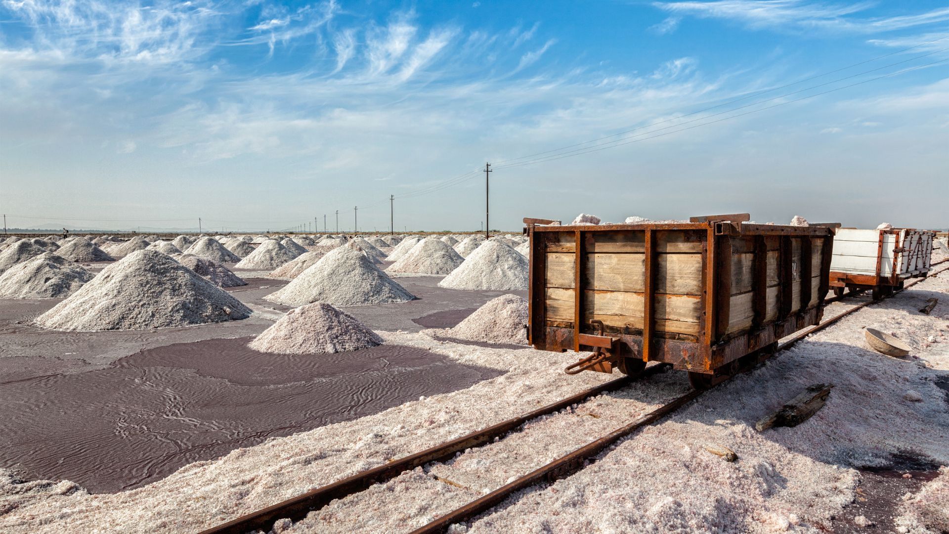 Soaking The Salt, Stars, And Stories of Rajasthan's Sambhar Lake