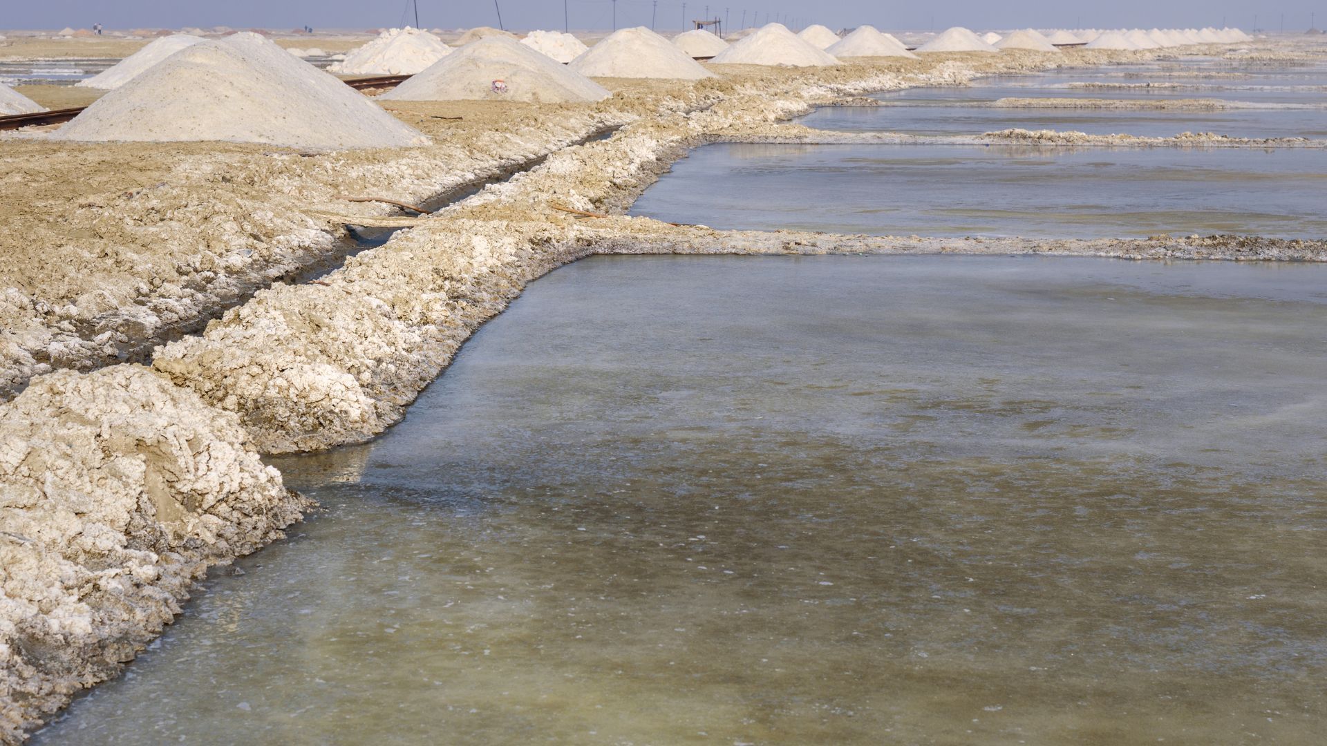 Soaking The Salt, Stars, And Stories of Rajasthan's Sambhar Lake