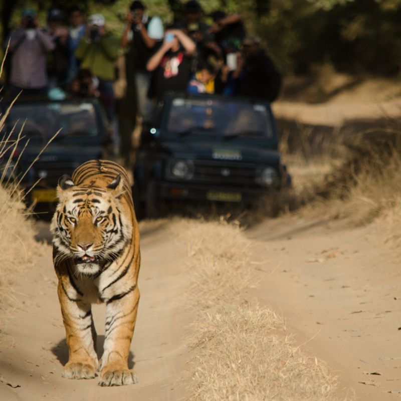 The Best New Trains To Ride In 2024