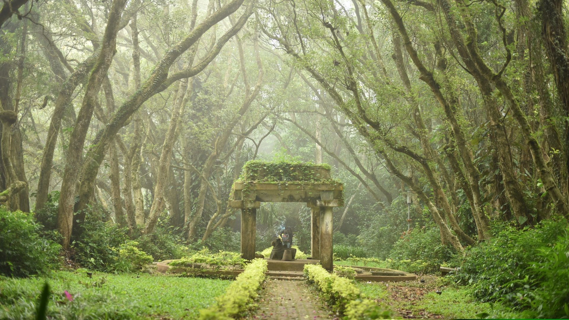 One-Day Trips From Bangalore: Weekend Getaways In The Western Ghats 2024