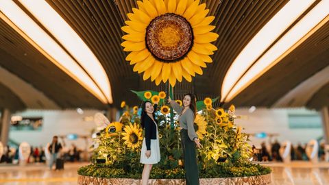 Singapore's Changi Airport Delights With ‘A Sunflower Sojourn’ Display