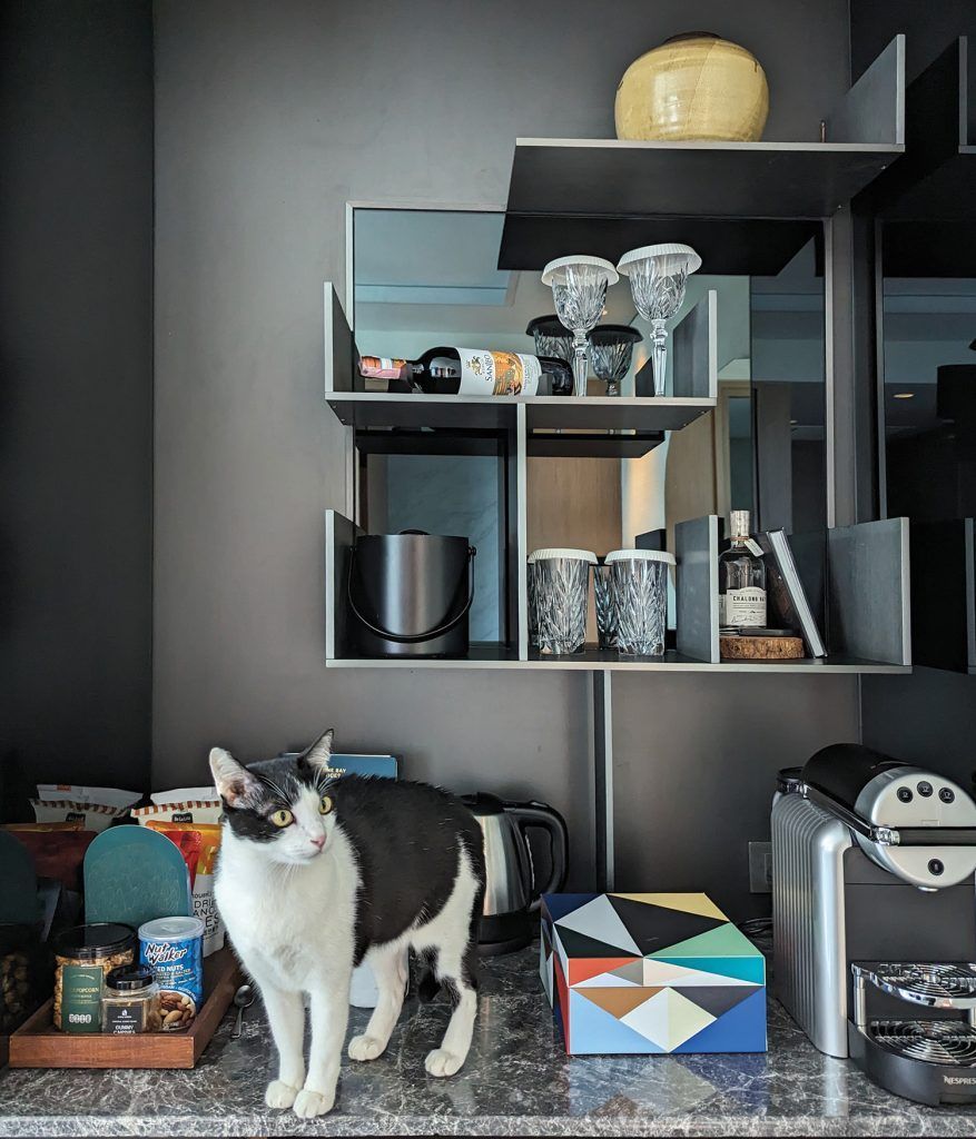 Raising the Bar: Luxury Hotels With Maxed Out Mini Bars