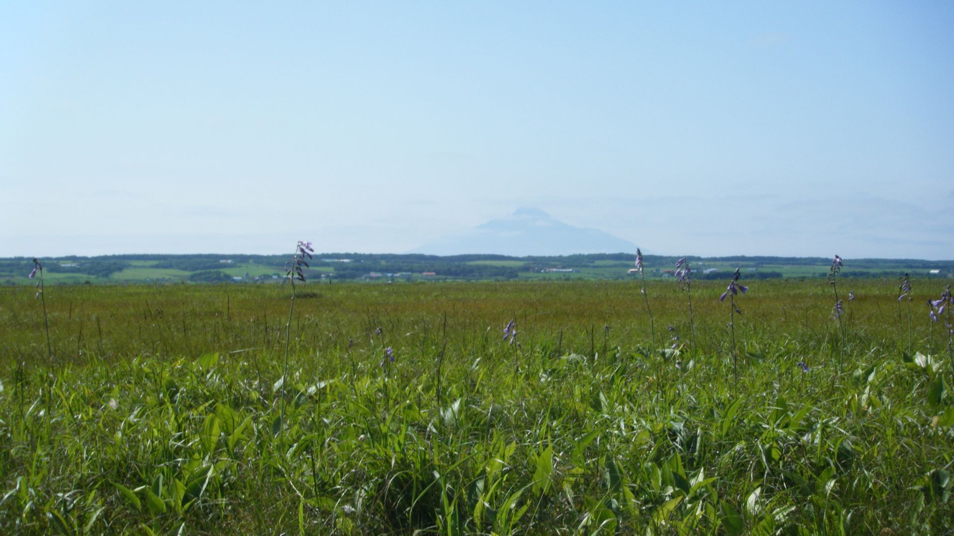 Offbeat Destinations In Japan: Hidden Trails To Savour Authentic Japanese Experiences