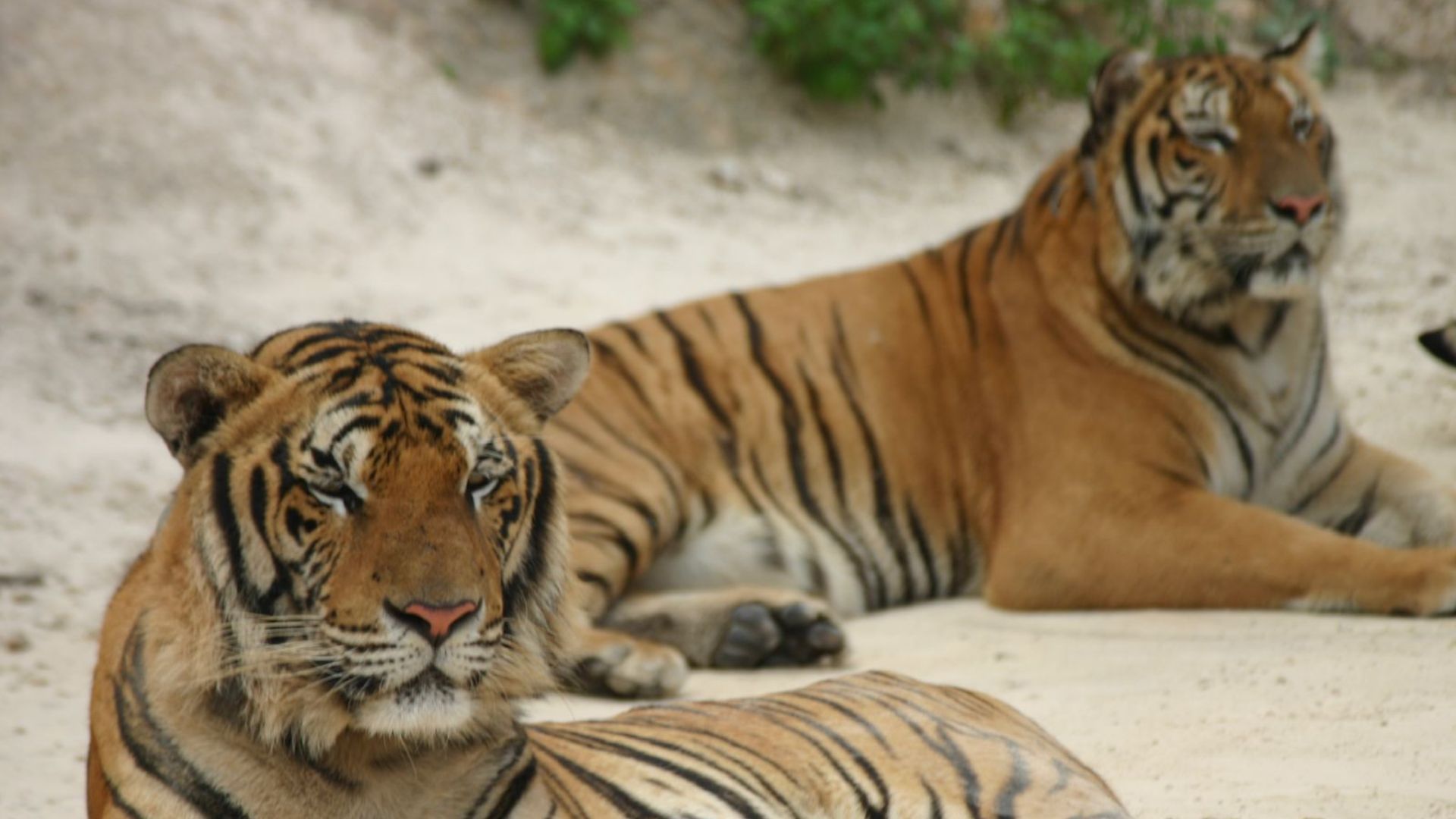 Kanchanaburi Town: An Oasis Of Natural Beauty In Thailand