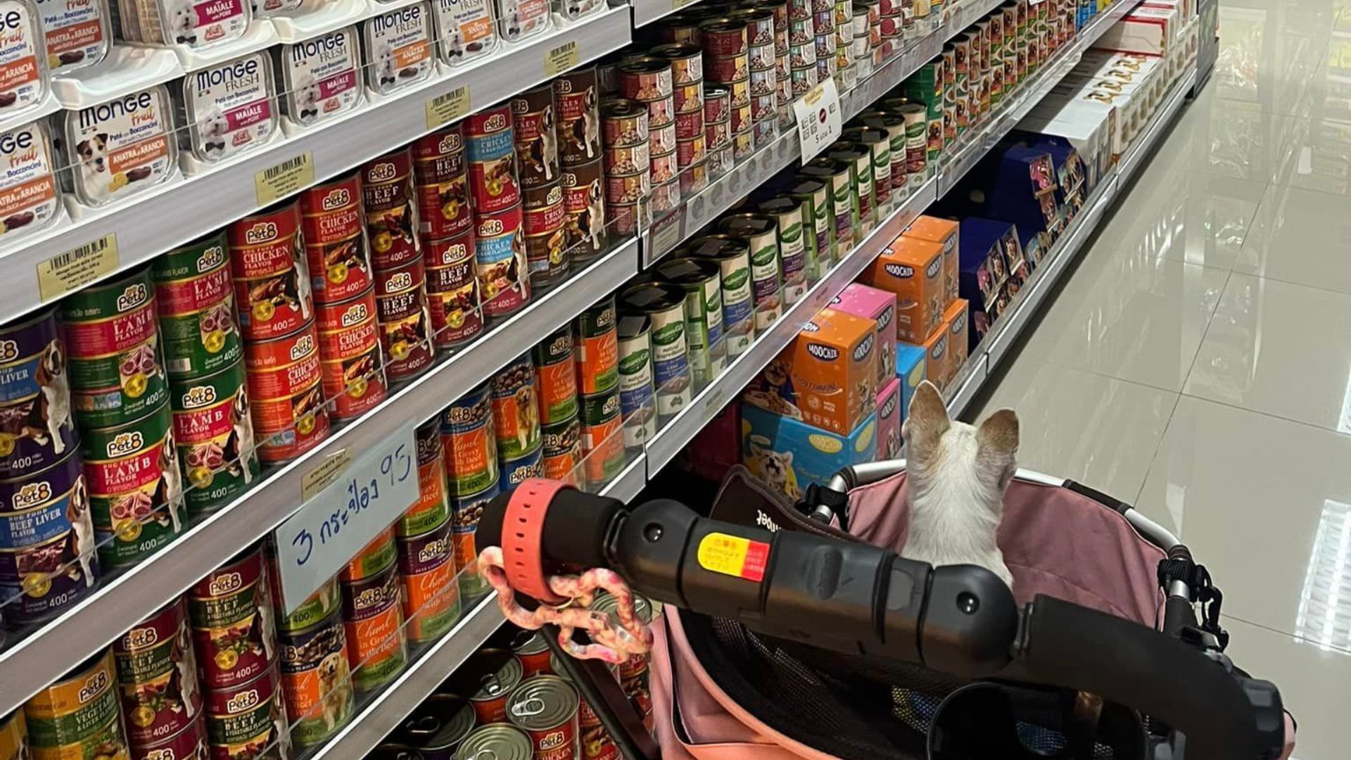 Thonburi Market Place – A Must-Visit For Foodies And Bargain Hunters