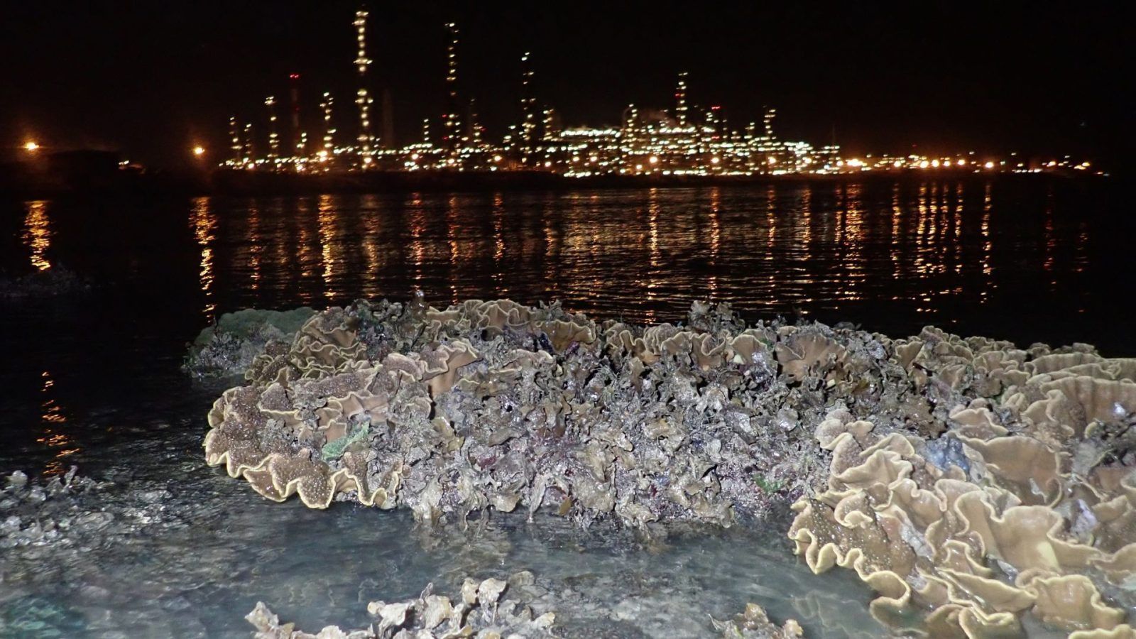 Pulau Hantu Island: Uncover The Secrets Of Singapore’s Haunted Islets