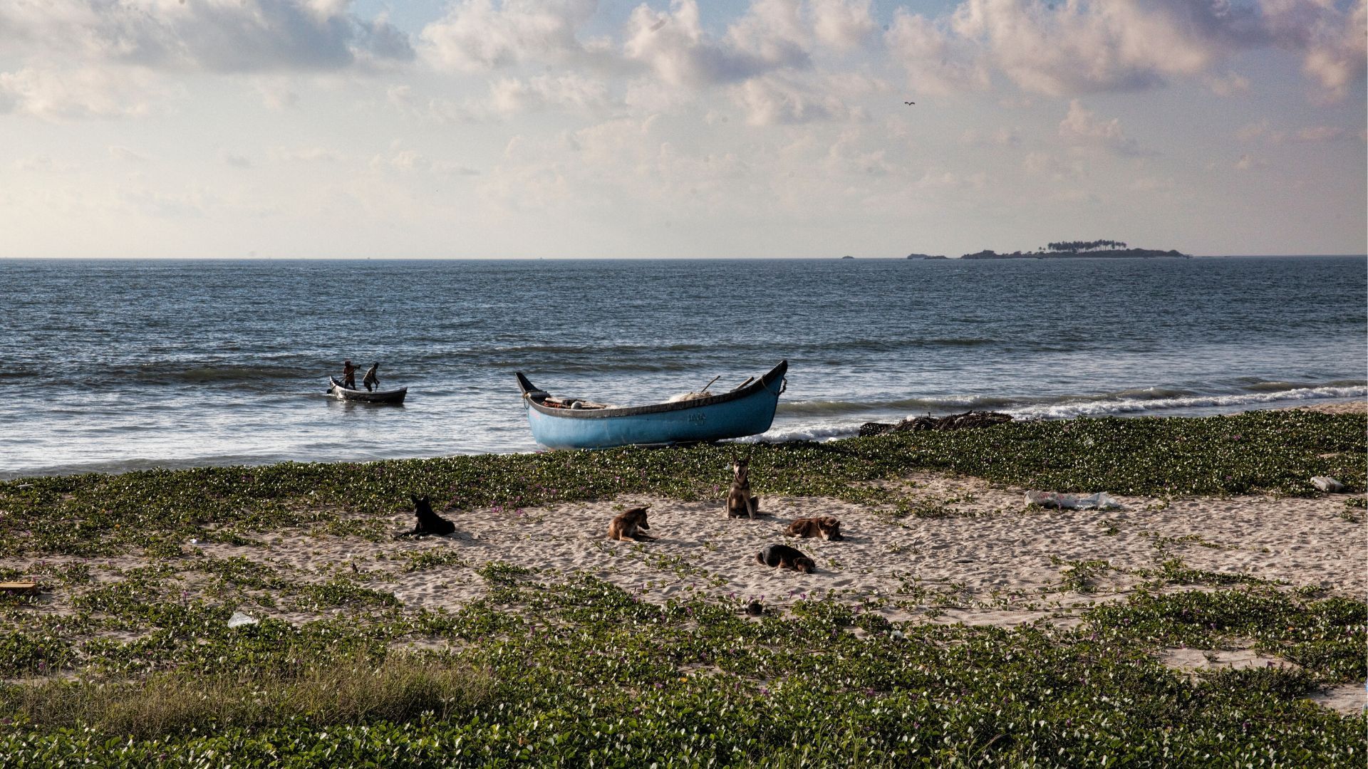 Udupi In Winter: Explore The Charms Of Coastal Karnataka