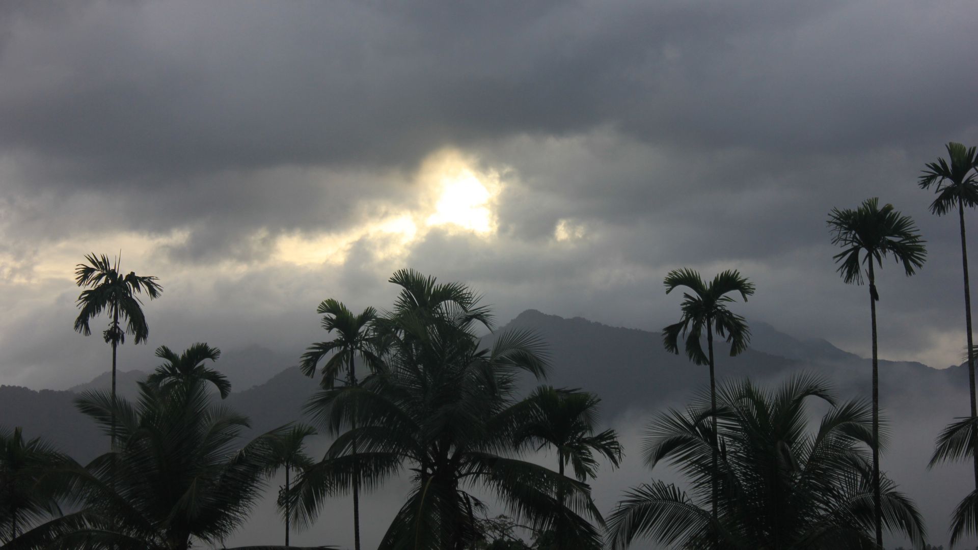 Best Time To Visit Kerala: When To Explore 'God's Own Country'