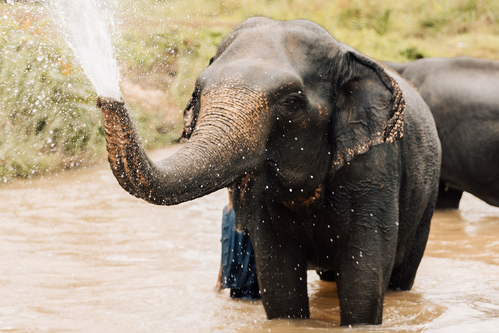 Three Indulgent Resorts in Southern Thailand Where Luxury Meets ...