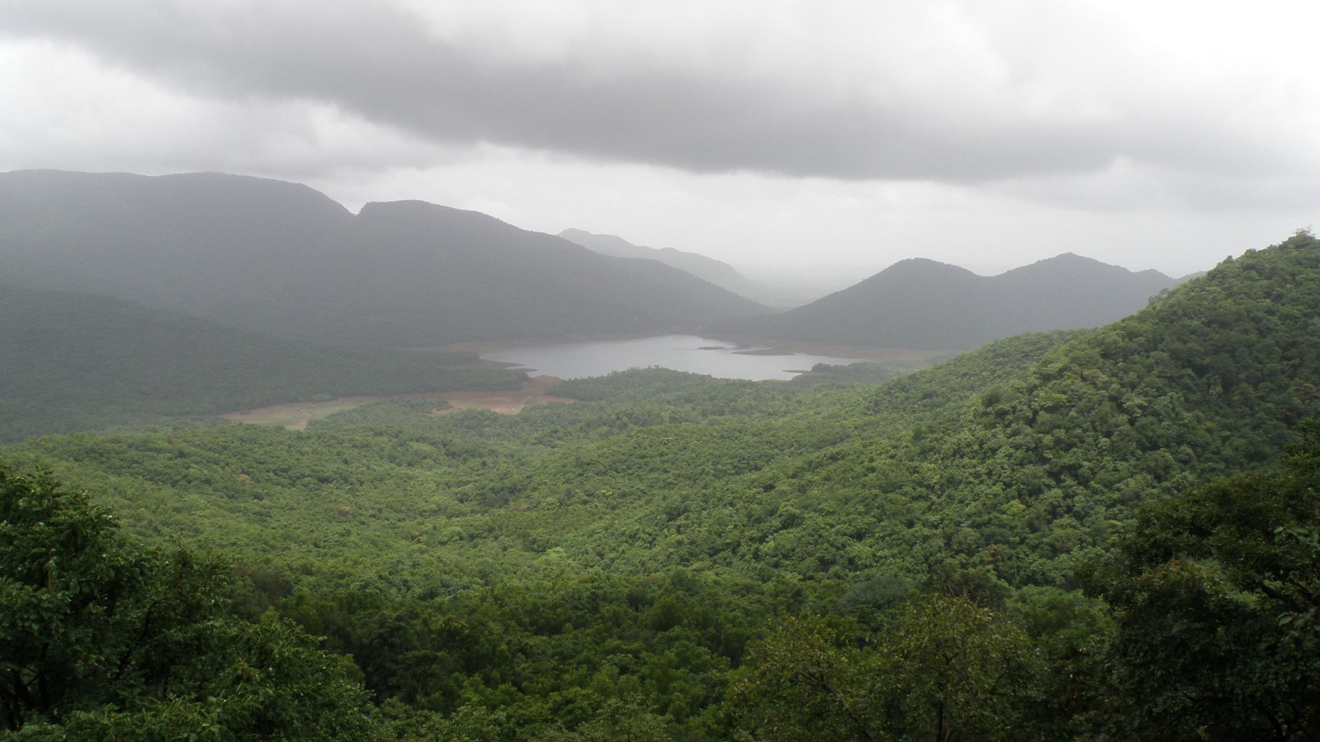 Things To Do In Goa, India: Best Offbeat Experiences Beyond Beaches