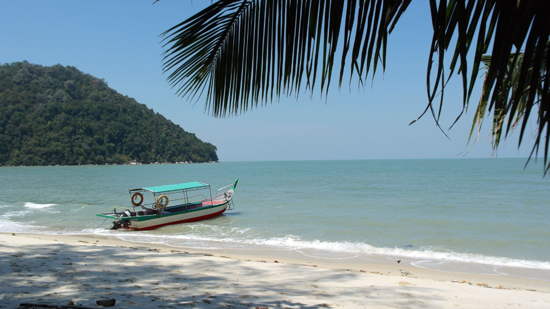 Things To Do In Penang: Adventure, Food, Nature Escapes, And More