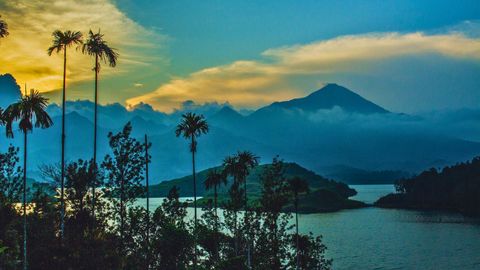 Tourist Places In Wayanad: A Traveller's Guide To The 'Ooty Of Kerala'