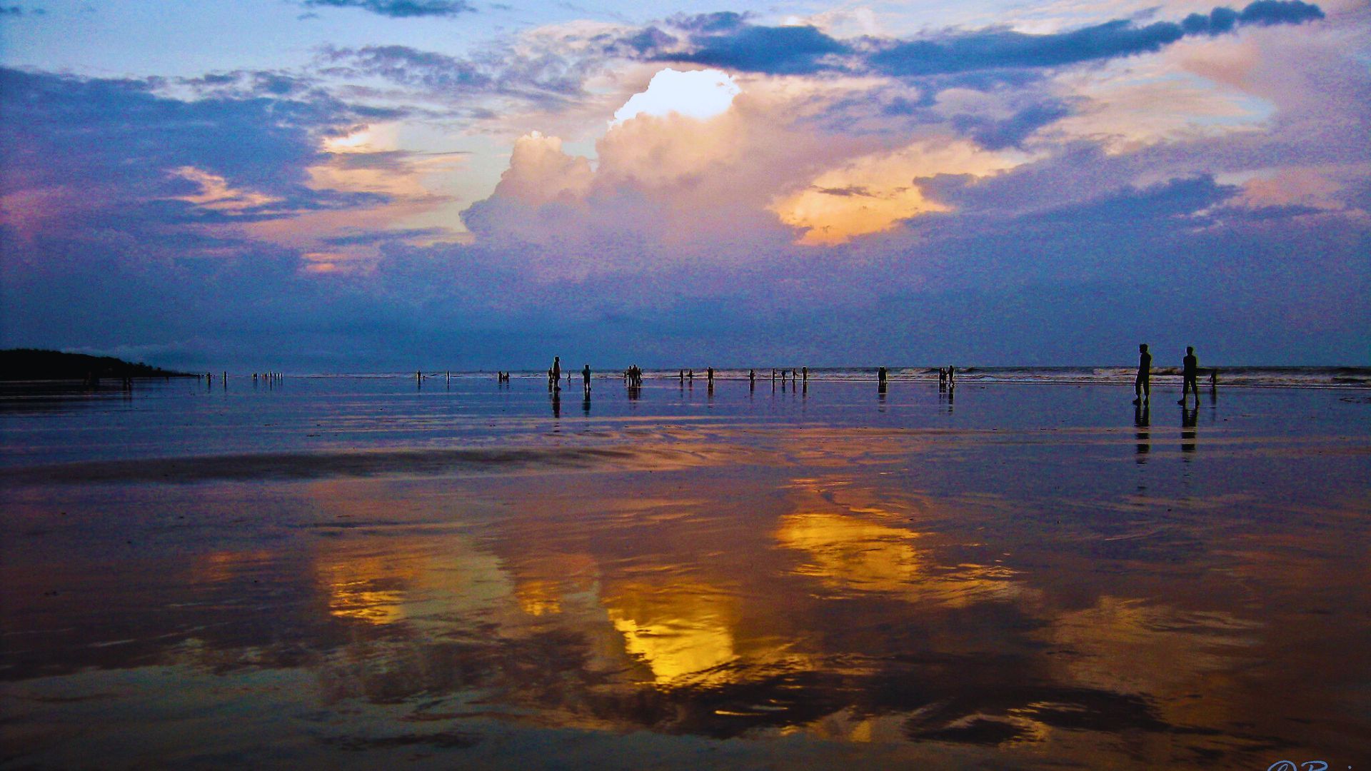 Top Tourist Places In West Bengal: Exploring The Rich Bangla Culture