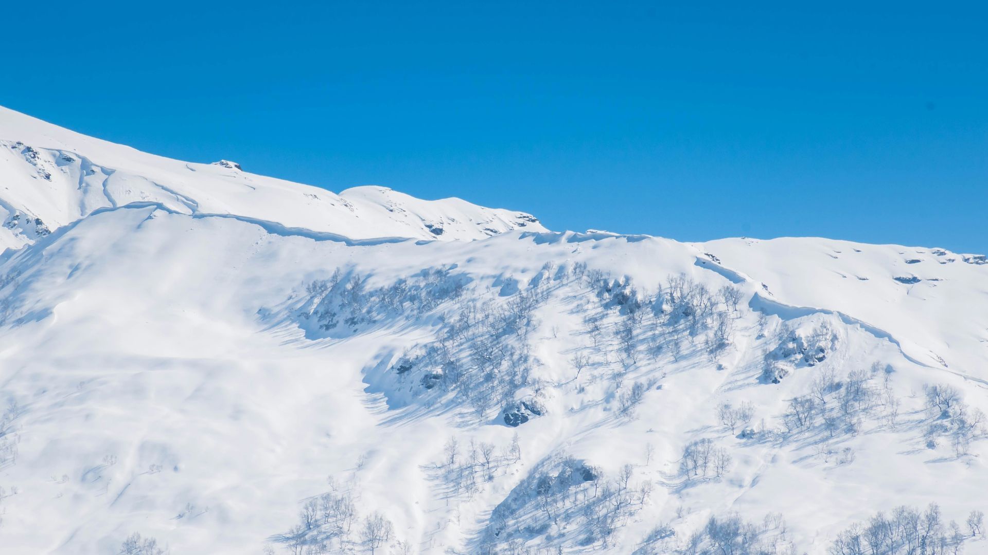 The Best Time To Visit Manali For Snowfall, Adventure & Other Activities?