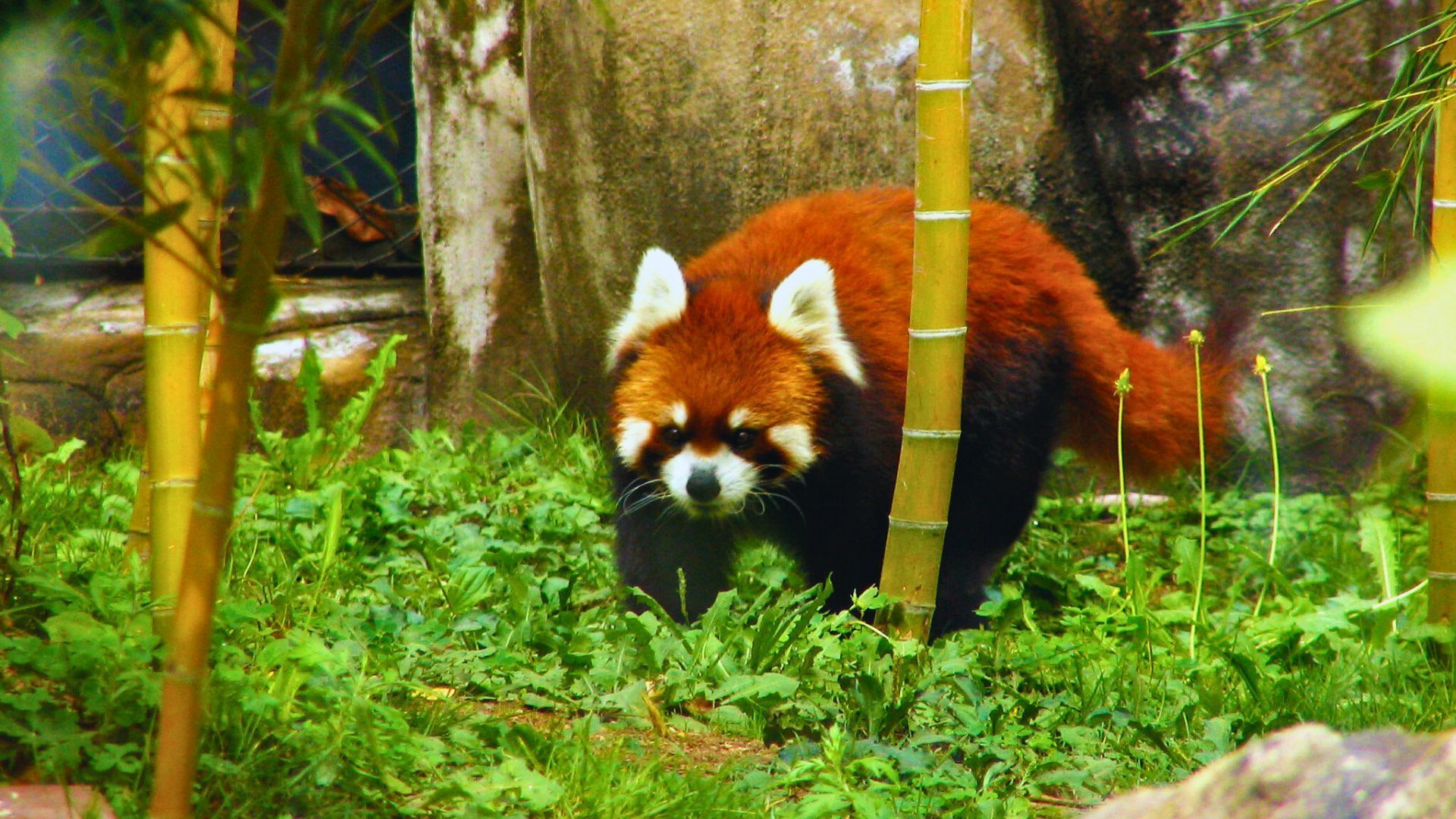 Things To Do In Osaka: Unmissable Experiences And Best Local Secrets