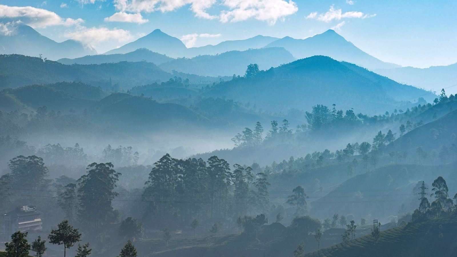 Best Time To Visit Munnar For A Quiet Escape Amidst Stunning Views