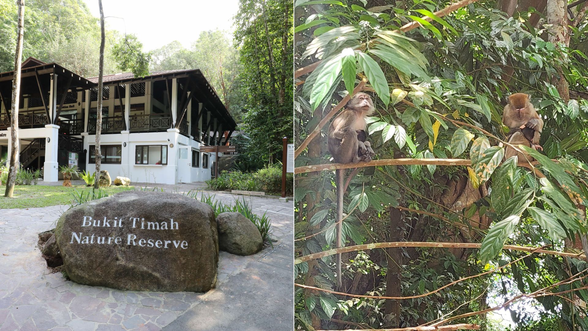 Singapore Wildlife Escapes For A Walk On The Wild Side