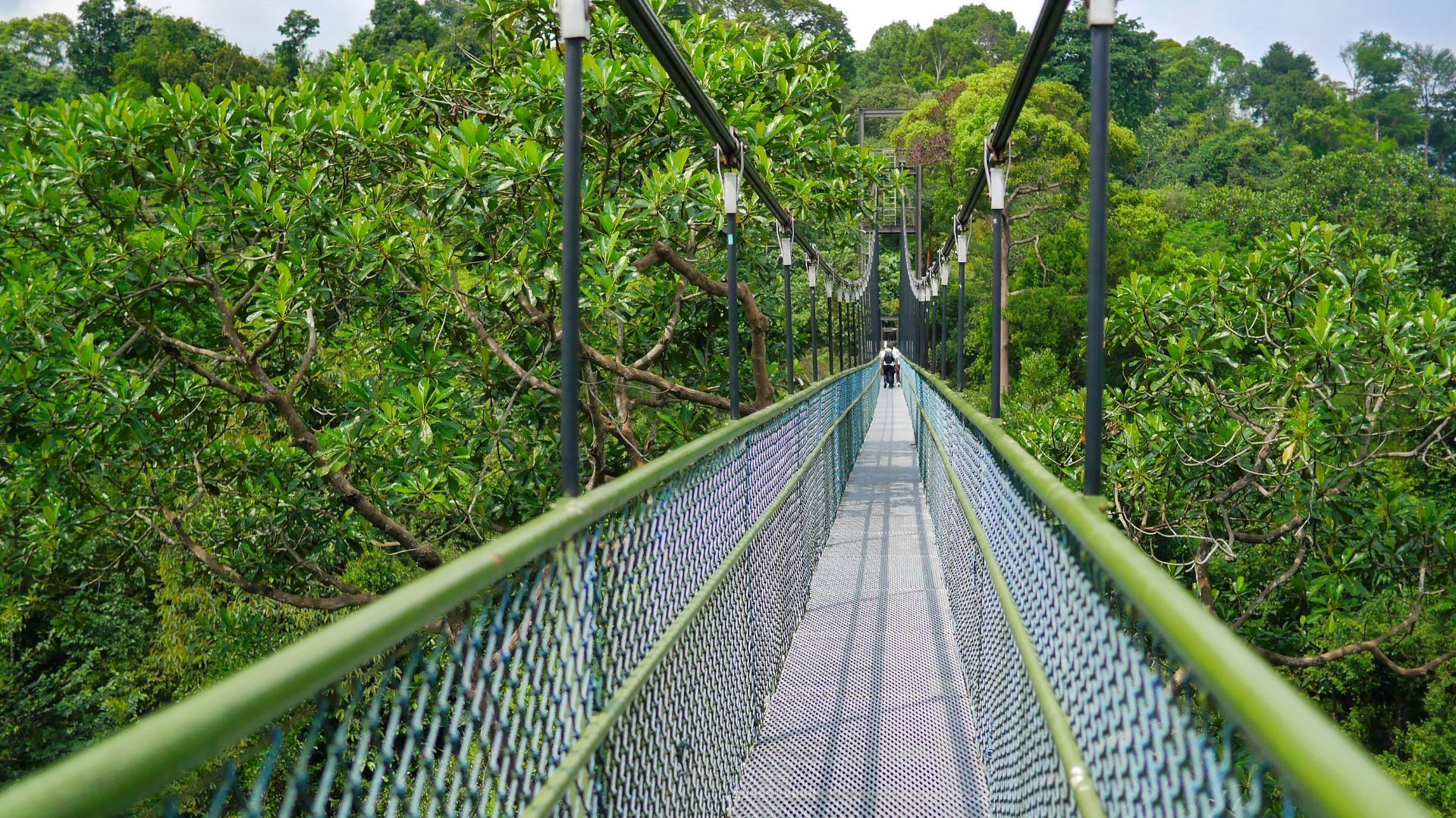 Singapore Wildlife Escapes For A Walk On The Wild Side