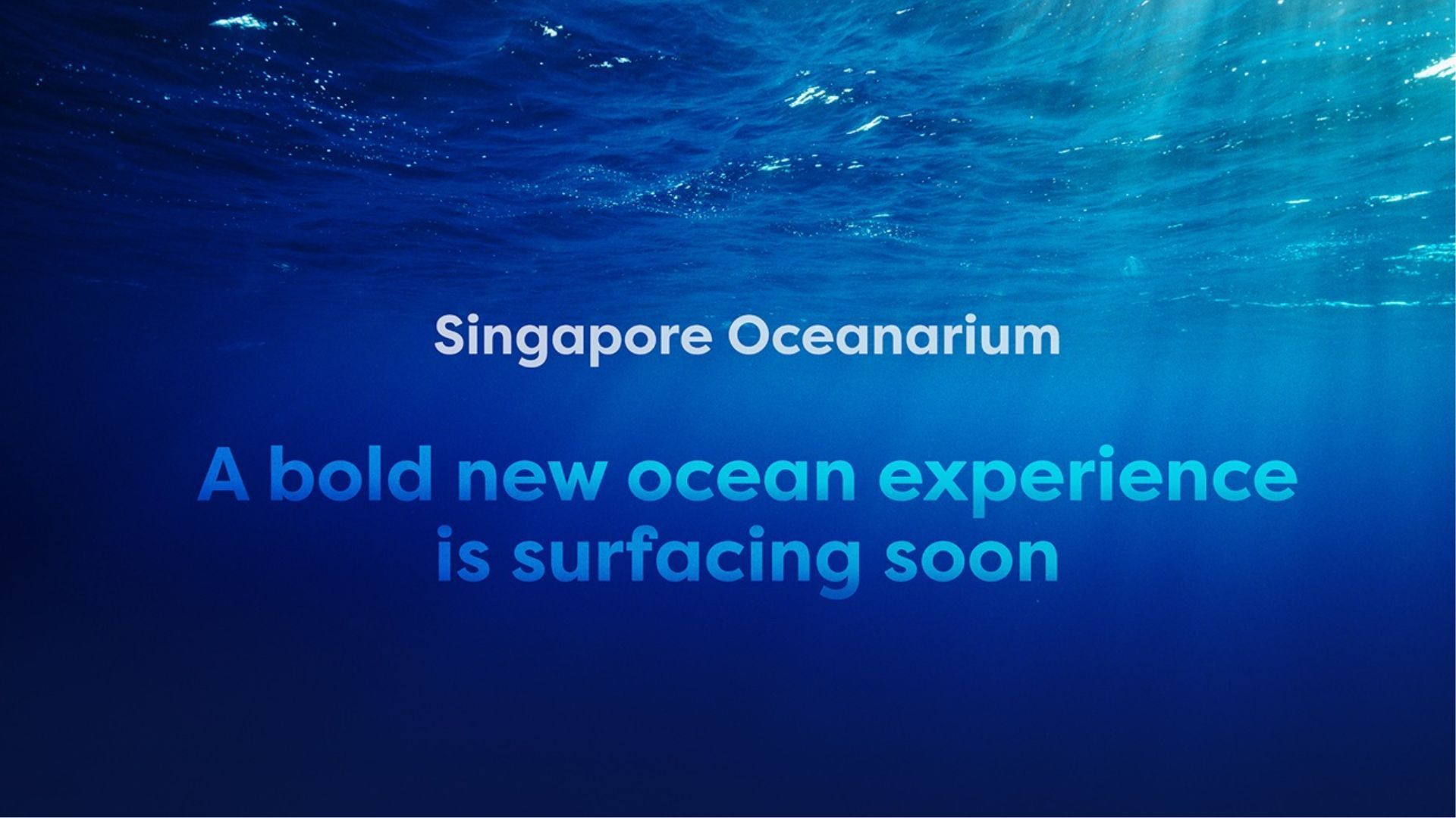 Singapore Wildlife Escapes For A Walk On The Wild Side