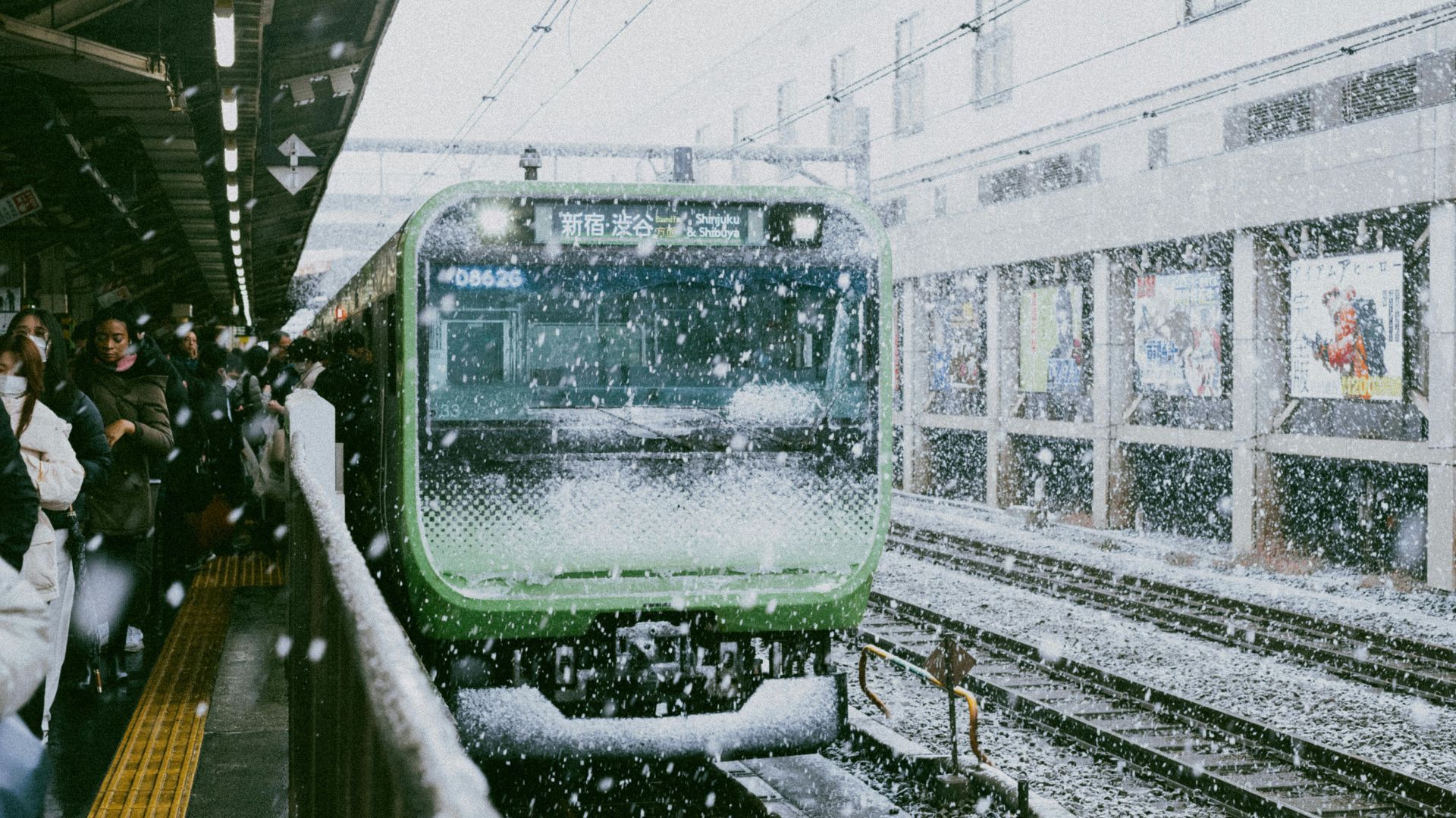 Tokyo’s Winter Wonderland: Unmissable Things To Do, Explore, And Eat