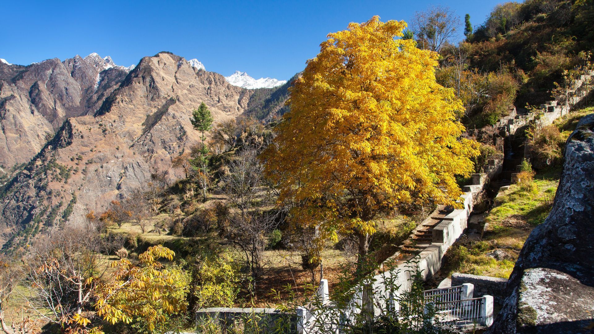 Popular Autumn Road Trips For Stunning Scenery Around India