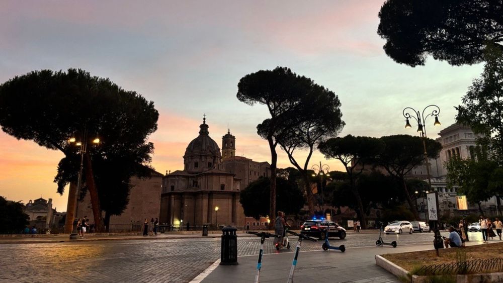 Why Rome Is Cutting Down Pine Trees Along Via Dei Fori Imperiali?