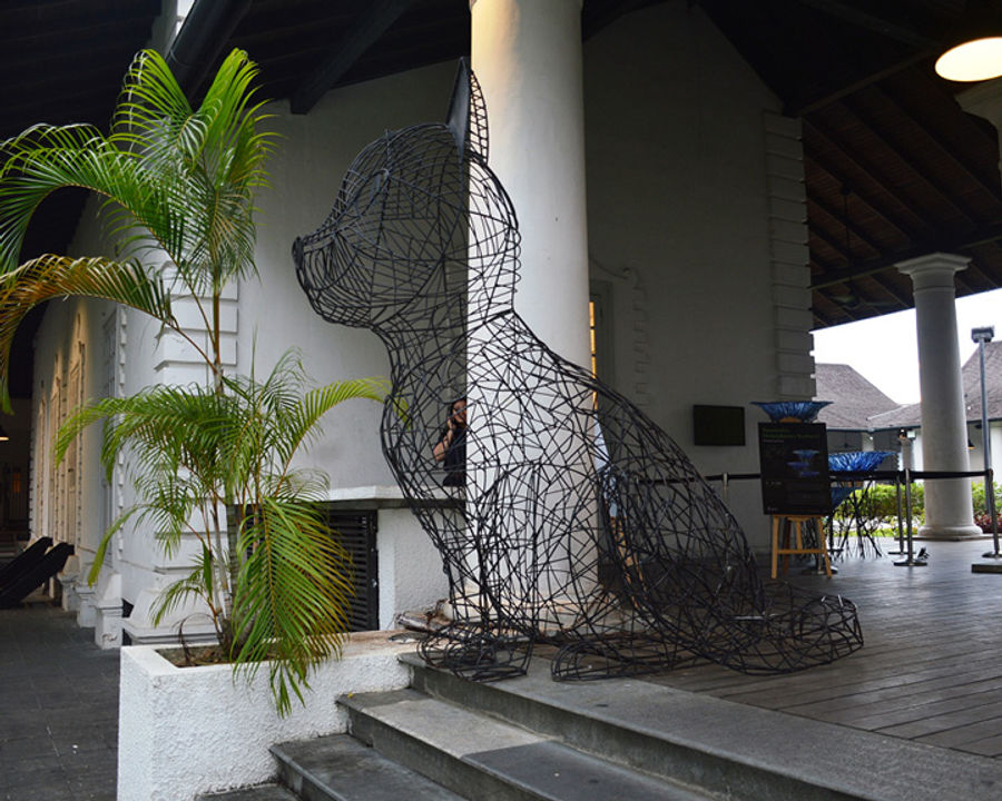 Malaysia's Cat City Kuching Is Every Cat Lover's 'Purrfect' Paradise