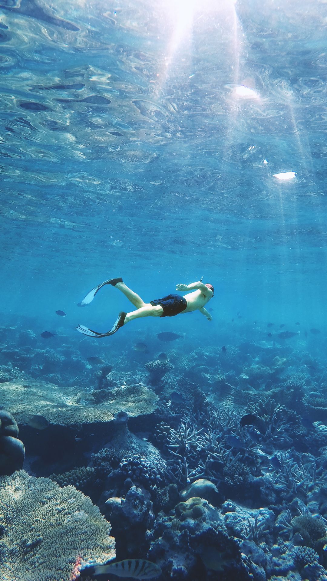 9 Magnificent Islands Off The Coast Of Kota Kinabalu You Must Visit