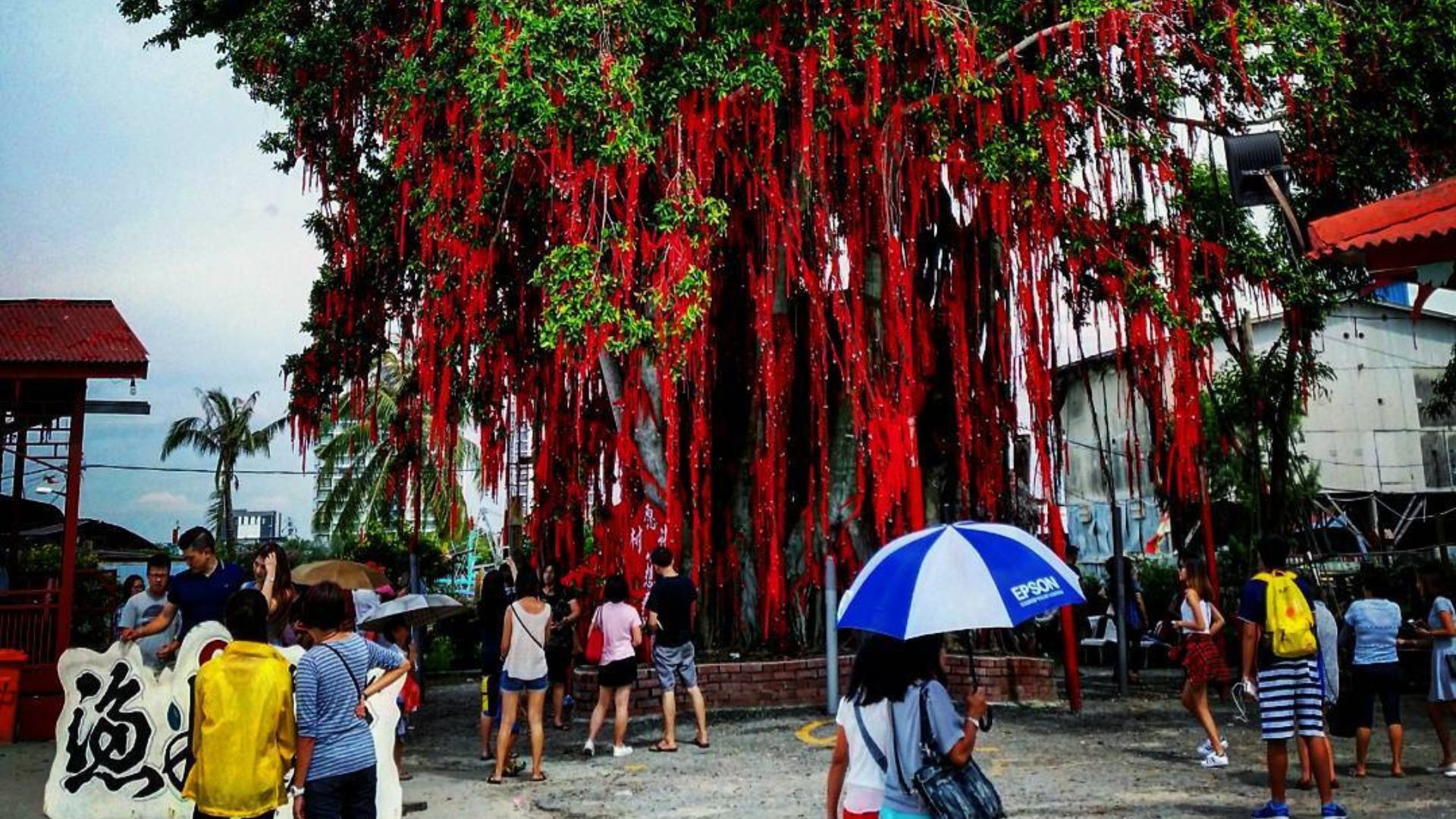 Check out: The Idyllic Land Of Paddy Fields And Fresh Seafood Sekinchan