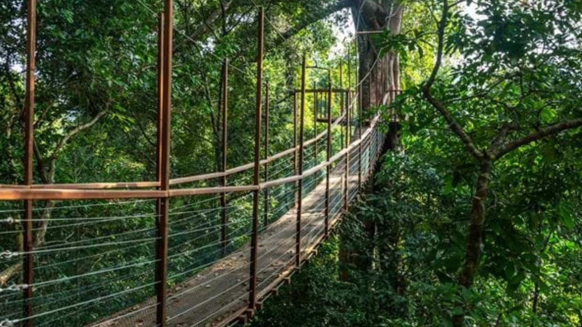 The Datai Langkawi: An Escape To Lush Green Paradise