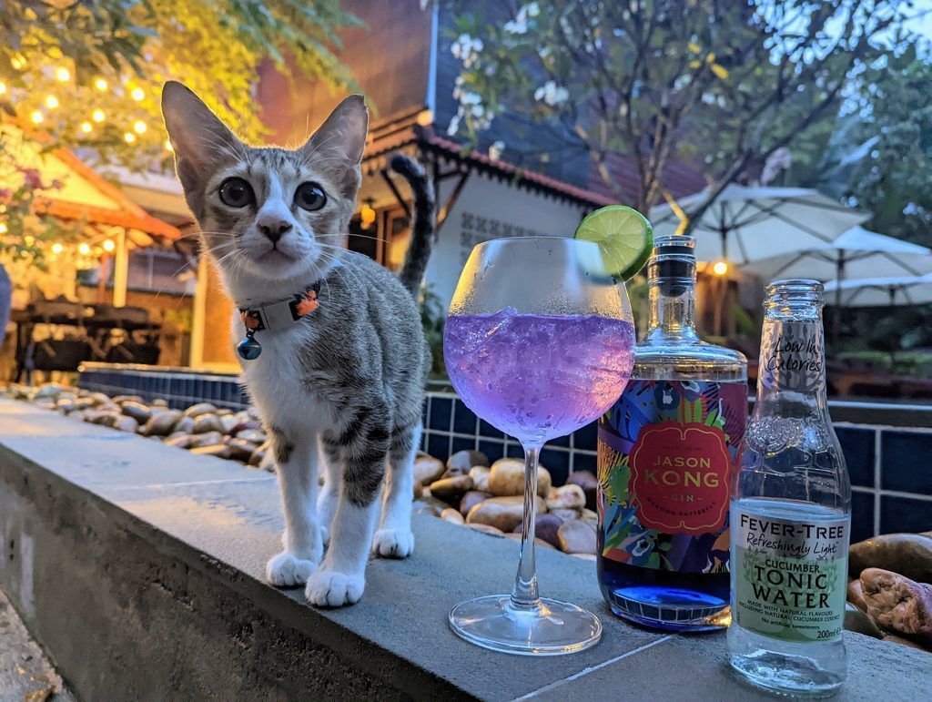 8 Best New Restaurants, Bars and Hotels in Cambodia in 2022