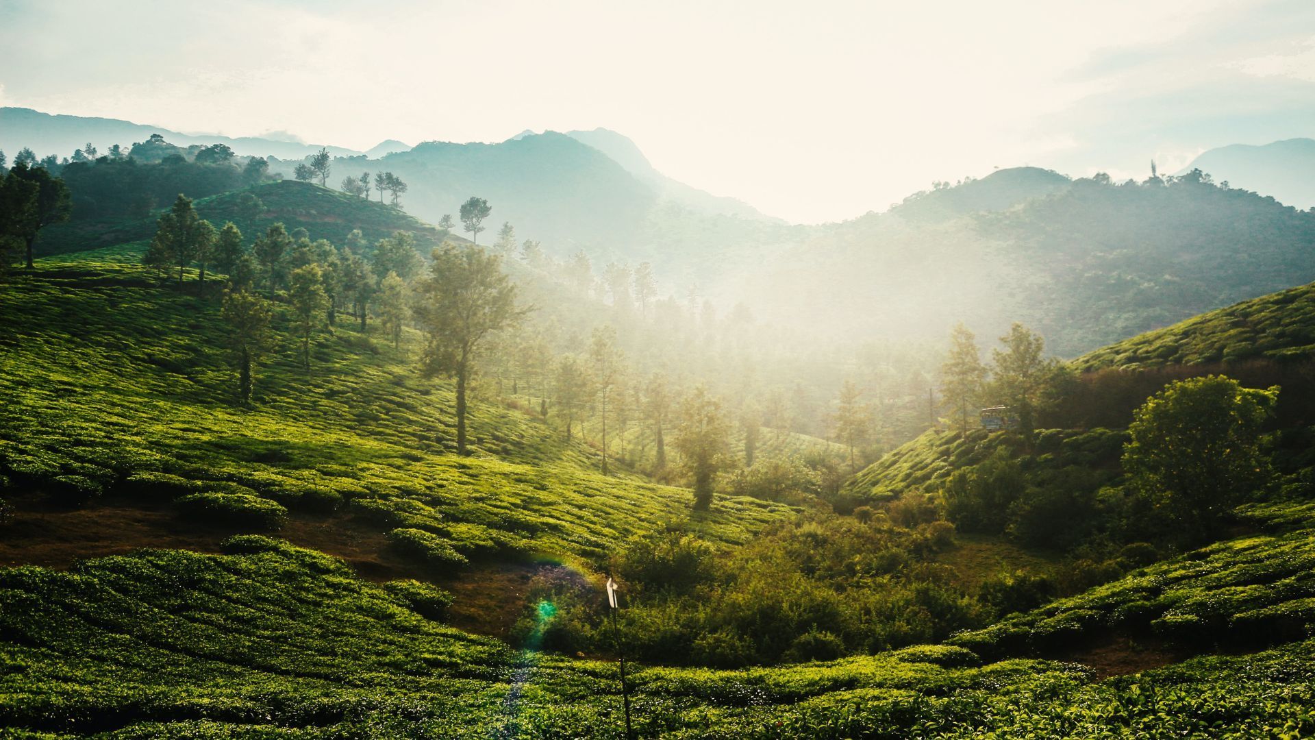 Best Places To Visit In March In India To Enjoy Spring