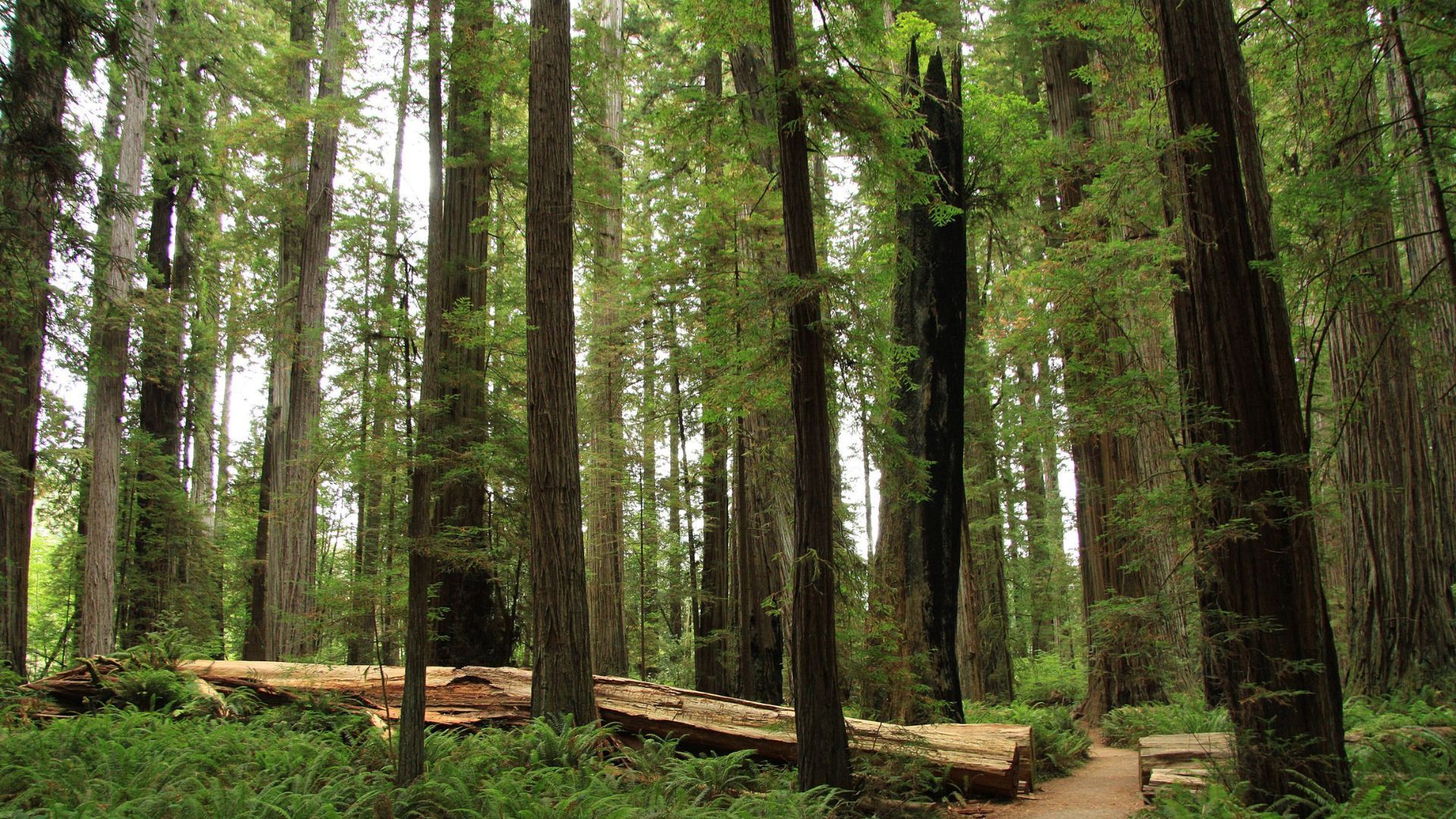 'Star Wars' Shooting Locations You Can Visit In Real Life
