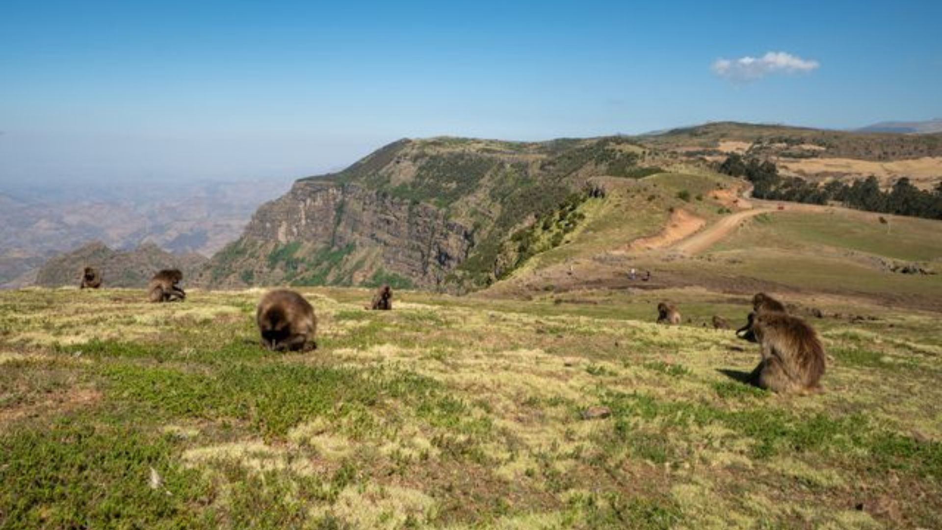 These Are The Most Epic Hiking Trails Around The World