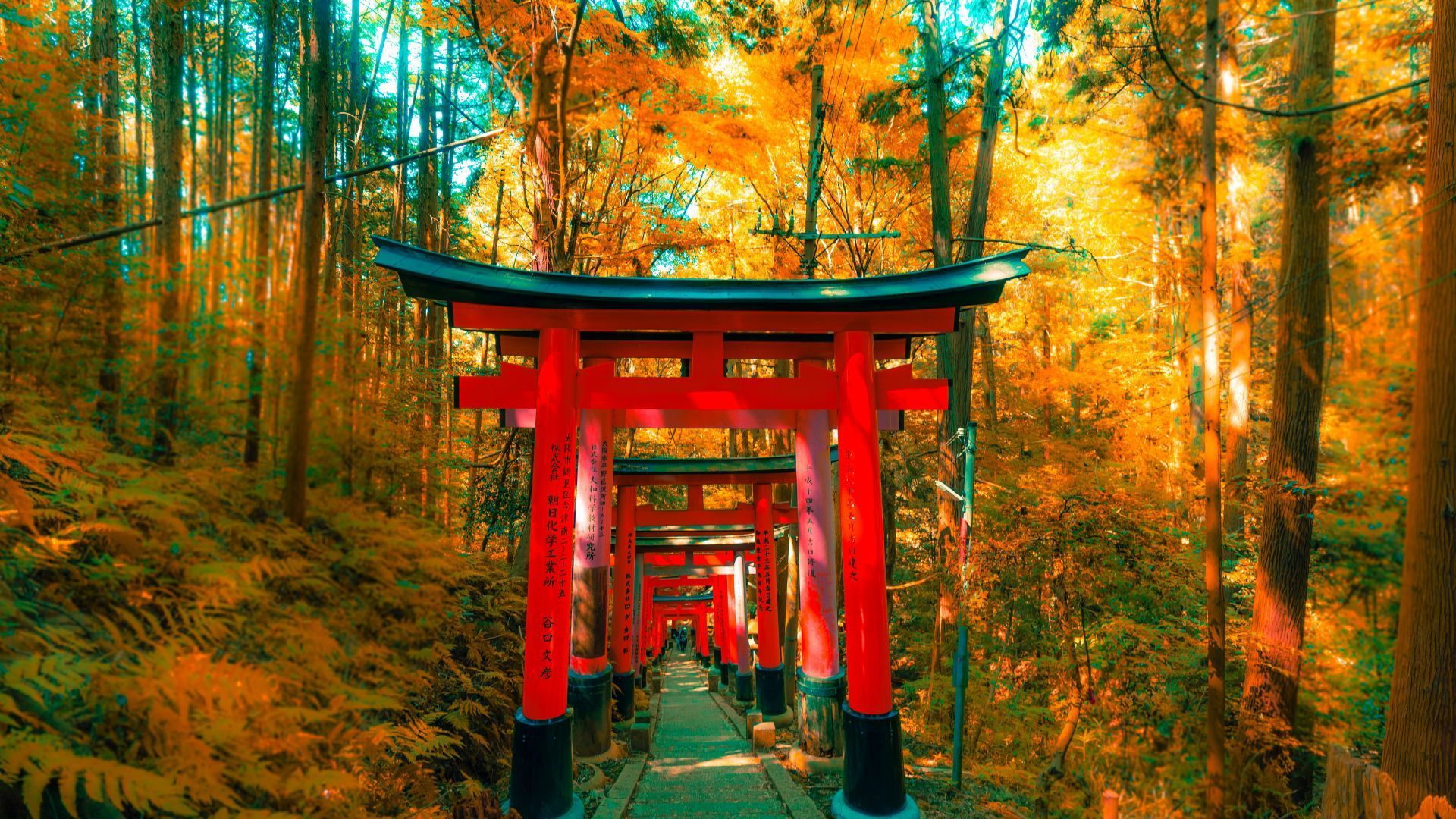 Top Ten Best Things To Do In Kyoto