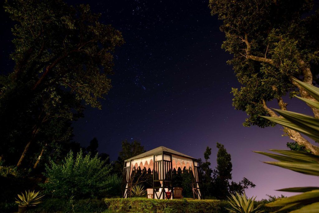 We Spent a Week in India’s Most Exclusive Wellness Retreat