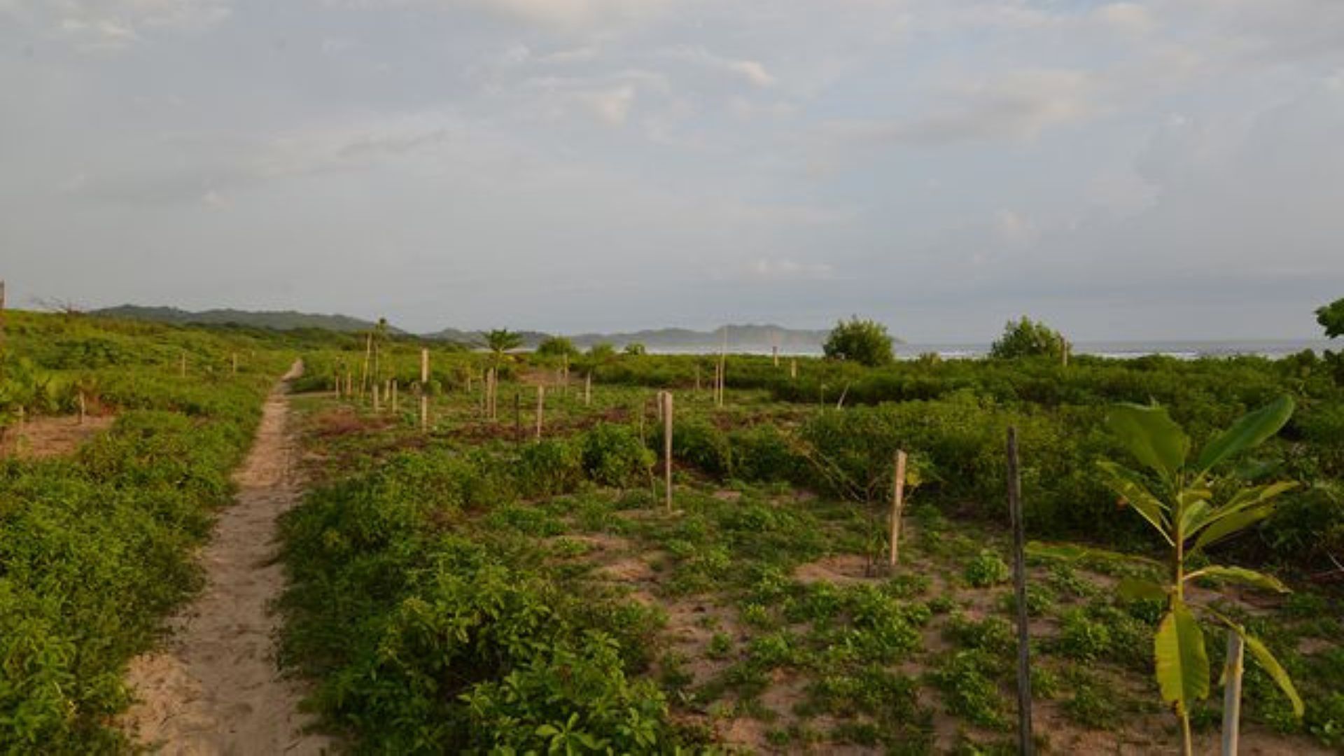 The Best Things To Do In Costa Rica For The Perfect Vacation